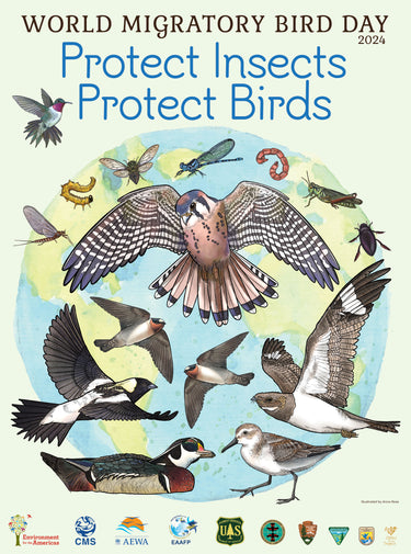 WMBD 2024 Poster – Environment for the Americas