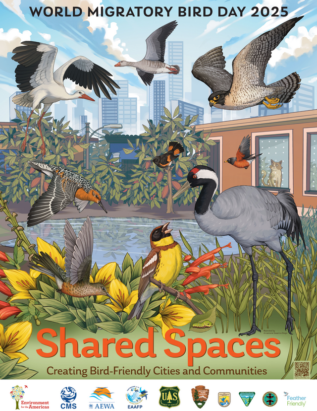 2025 WMBD Poster Shared Spaces – Environment for the Americas