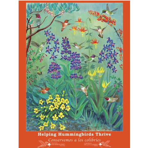 Educational Posters – Environment for the Americas