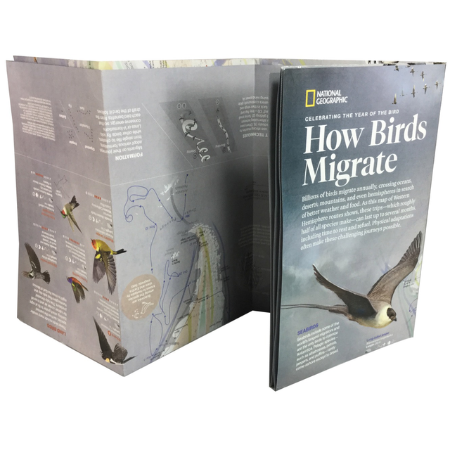 National Geographic Migration Map – Environment for the Americas