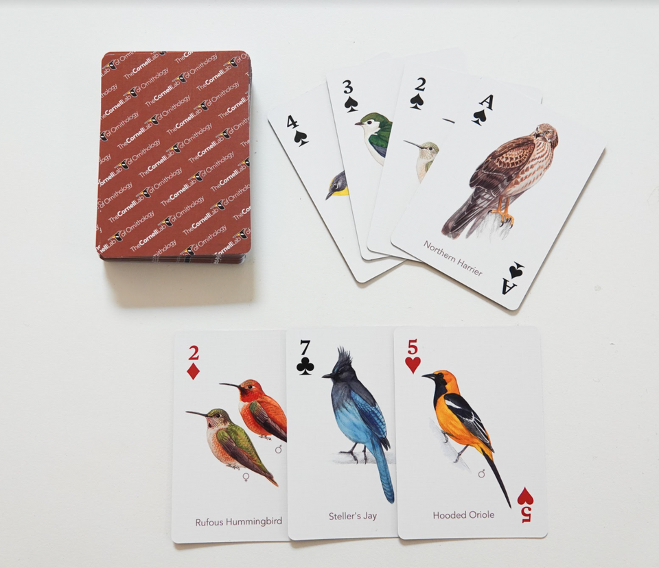 Birds of North America Playing Cards – Environment for the Americas