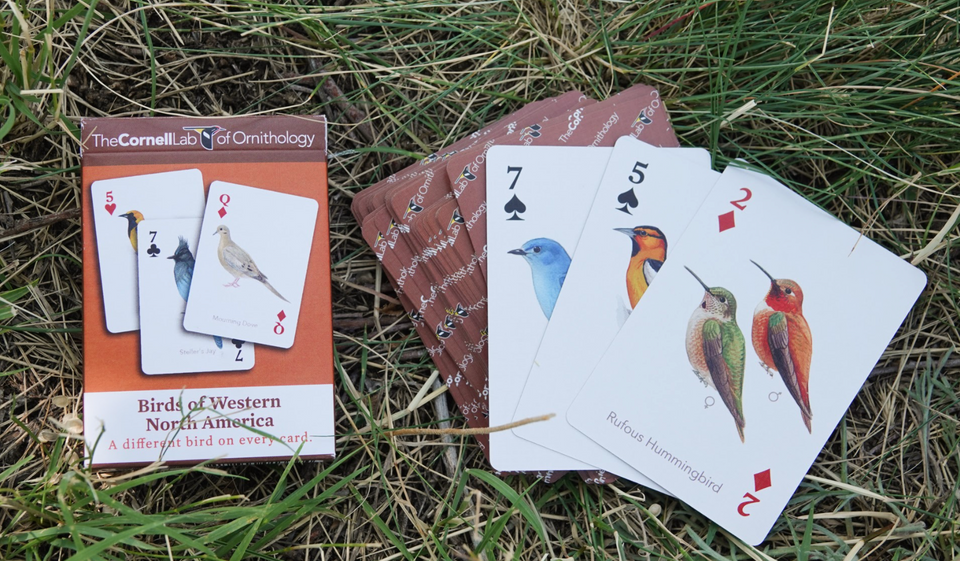 Birds of North America Playing Cards – Environment for the Americas